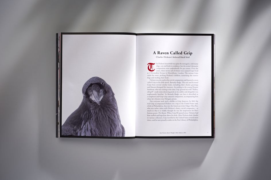 The Ravens: A charming book that takes a creative look at the 'multi ...