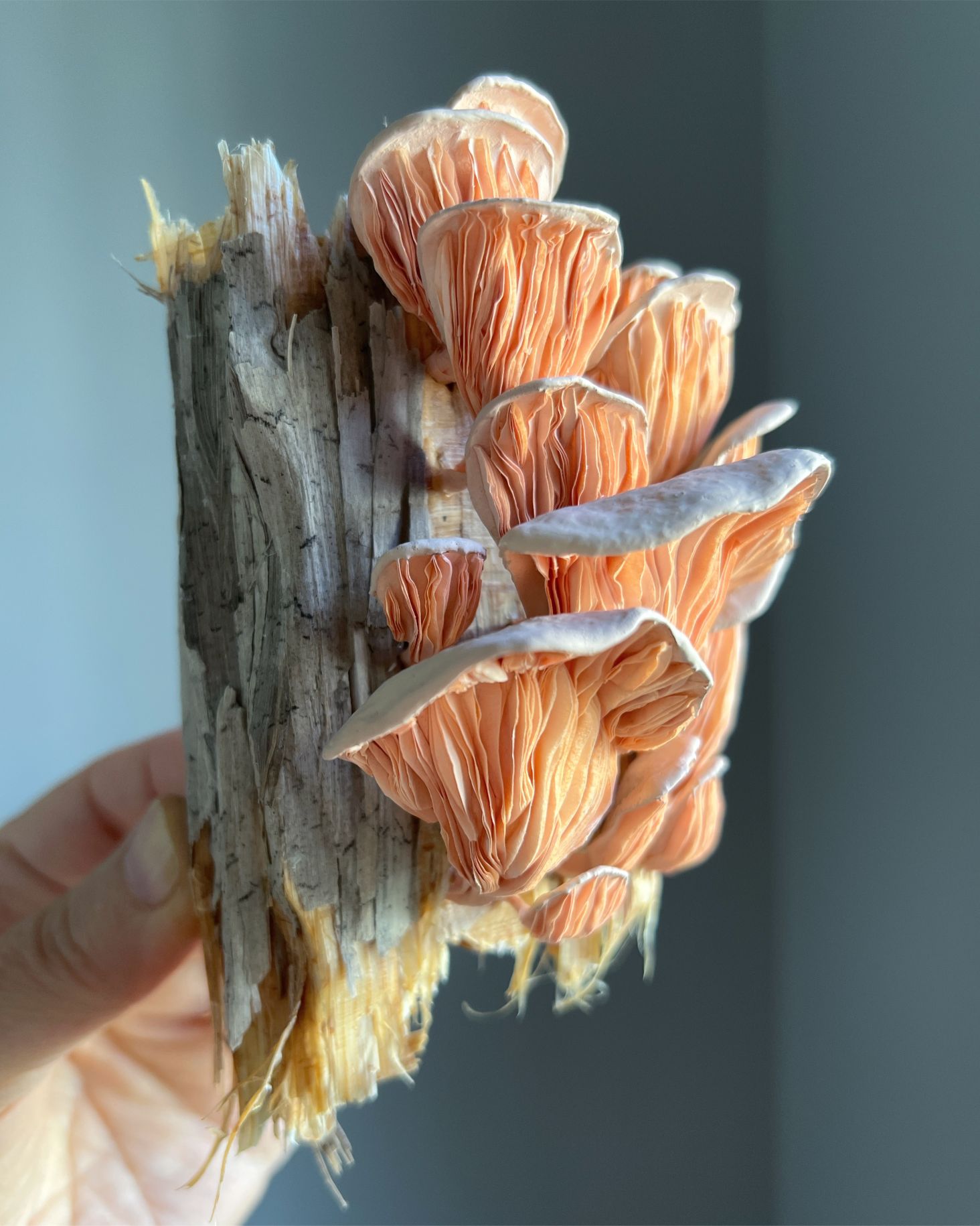 Inspiration | Creative Boom