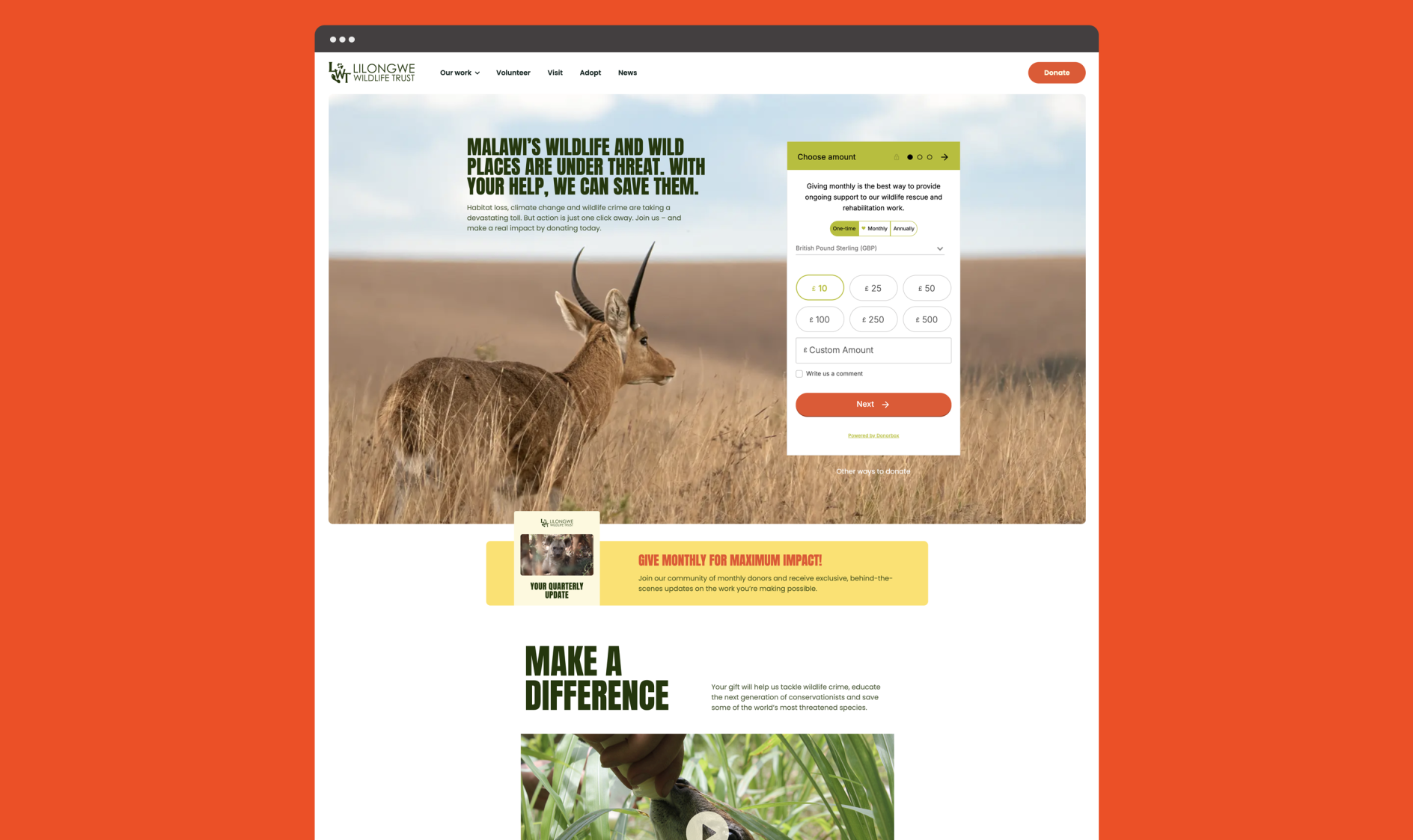 Securing a future for Malawi's wildlife at the heart of brand and website refresh | Creative Boom