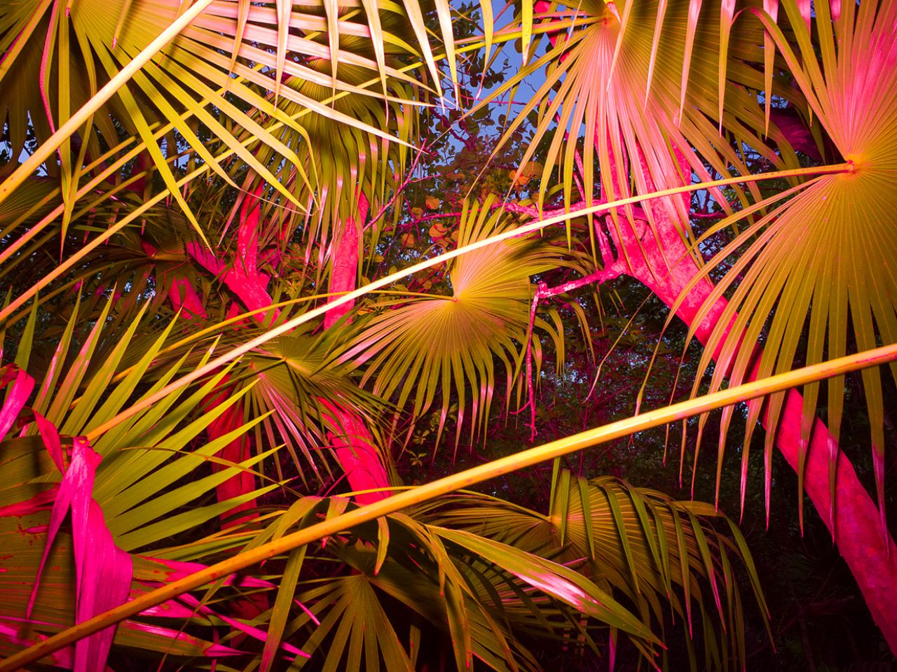 Mexico Surreal: Travelling photographer shines fresh light on Mexican ...