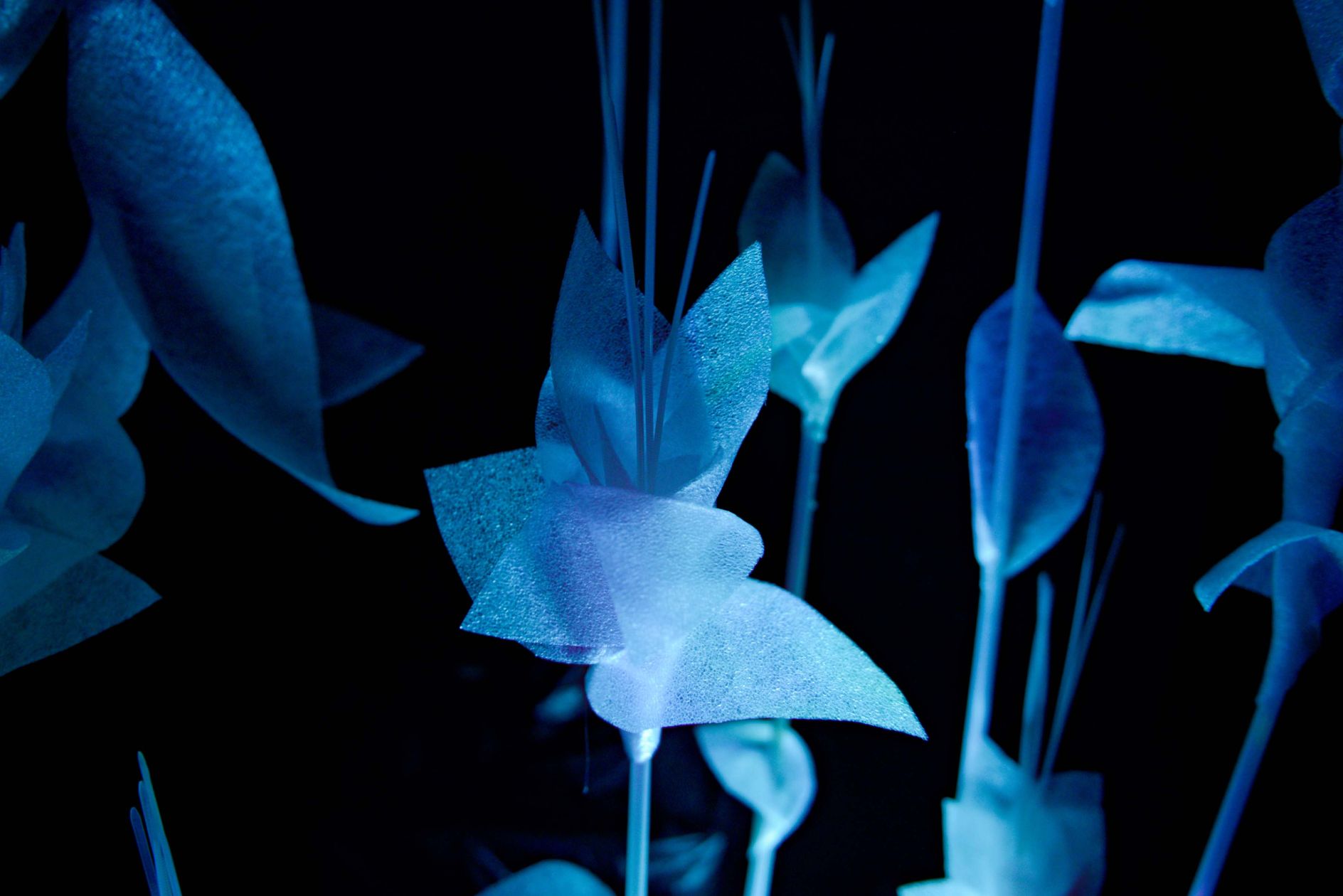 A luminous, dystopian dark forest made entirely from a week of non ...