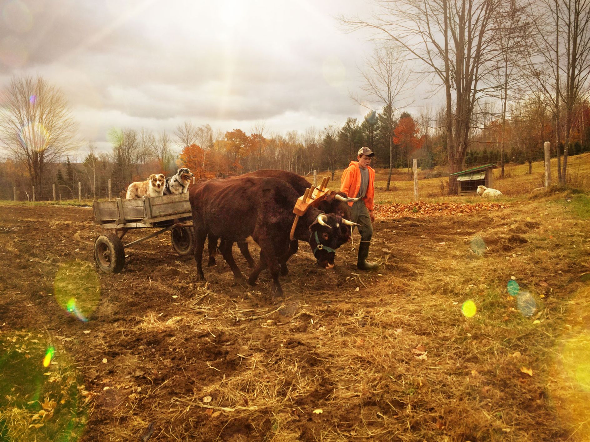 The American Worker: The world's most extreme jobs caught on camera ...