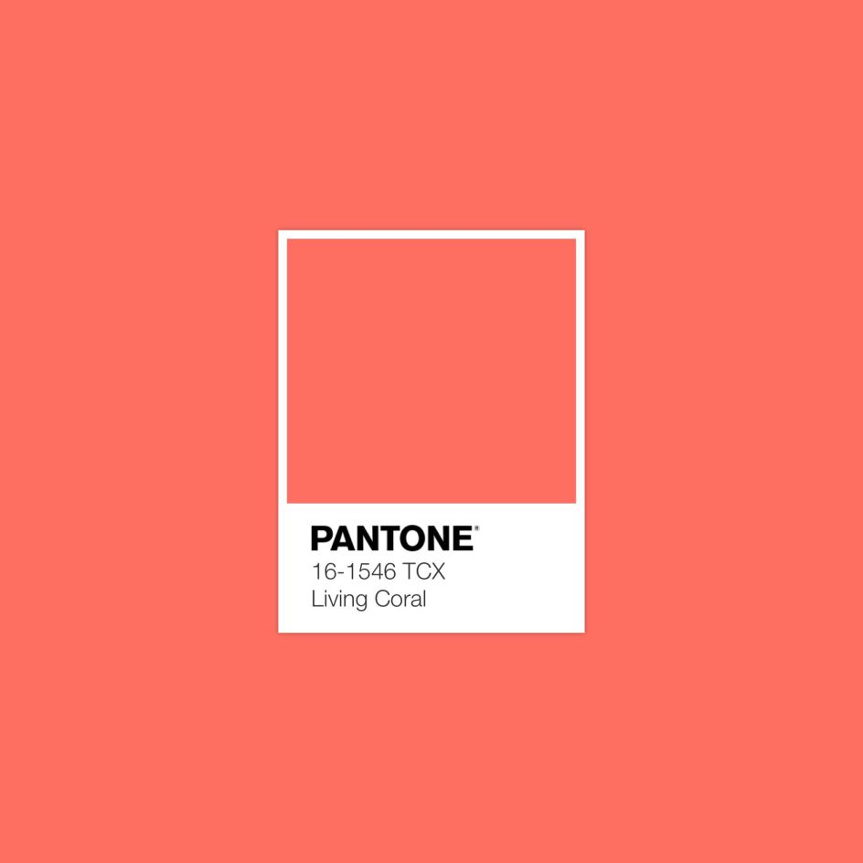 Pantone's 2019 Colour of the Year is Living Coral | Creative Boom