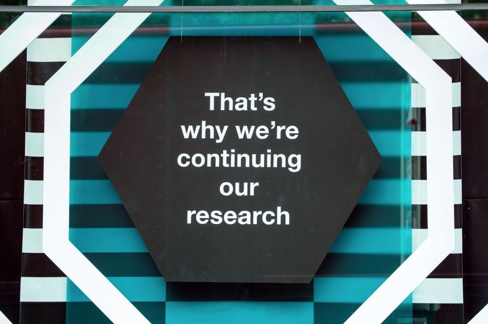 Infectious Pattern: Windows of London's Wellcome gallery transformed ...