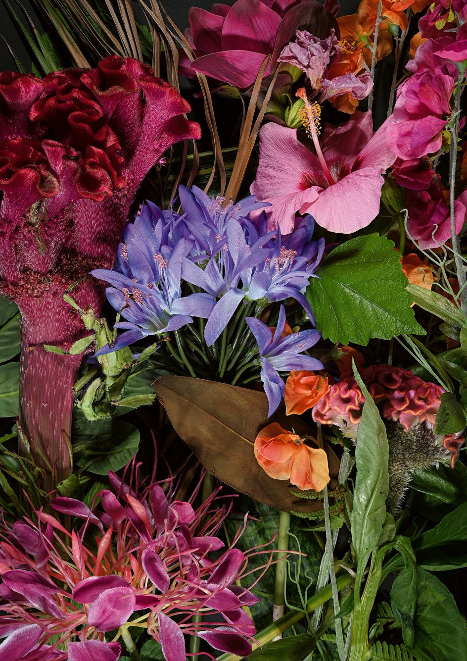 German photo artist Claus Stolz mixes real and fake to pose the ...