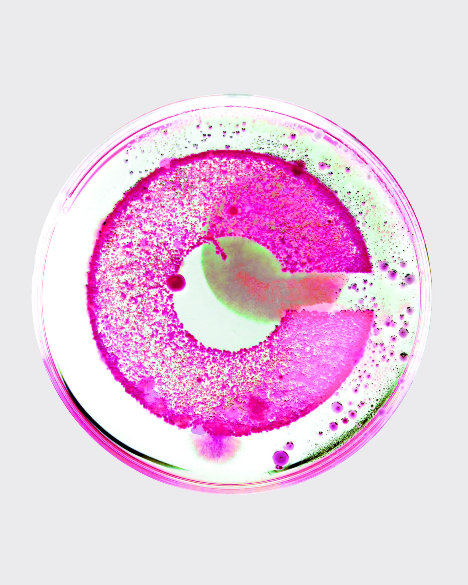 Crucible unveils lab-grown identity by Madalena Studio | Creative Boom