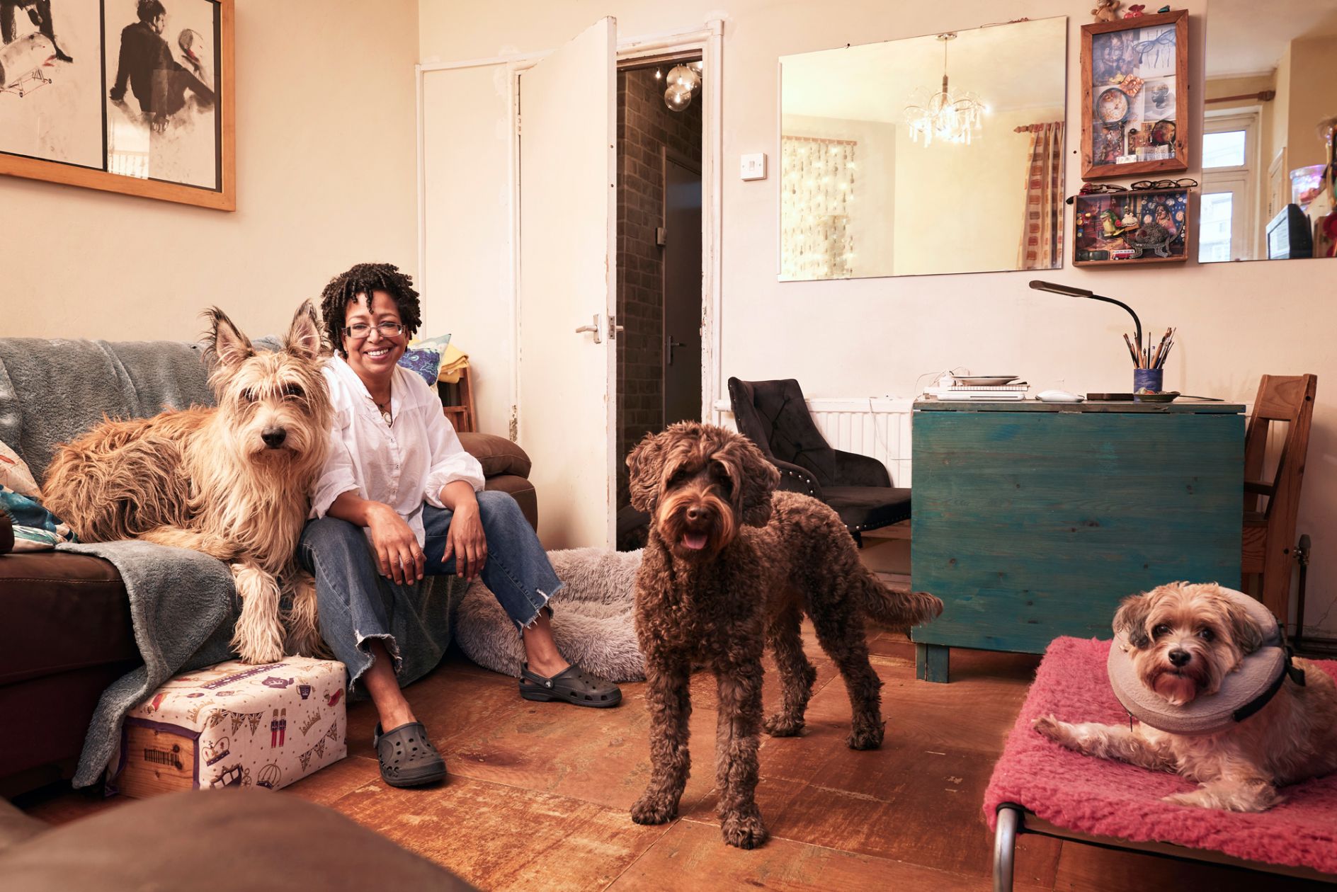 Dylan Collard explores our connection with dogs in new photography book ...