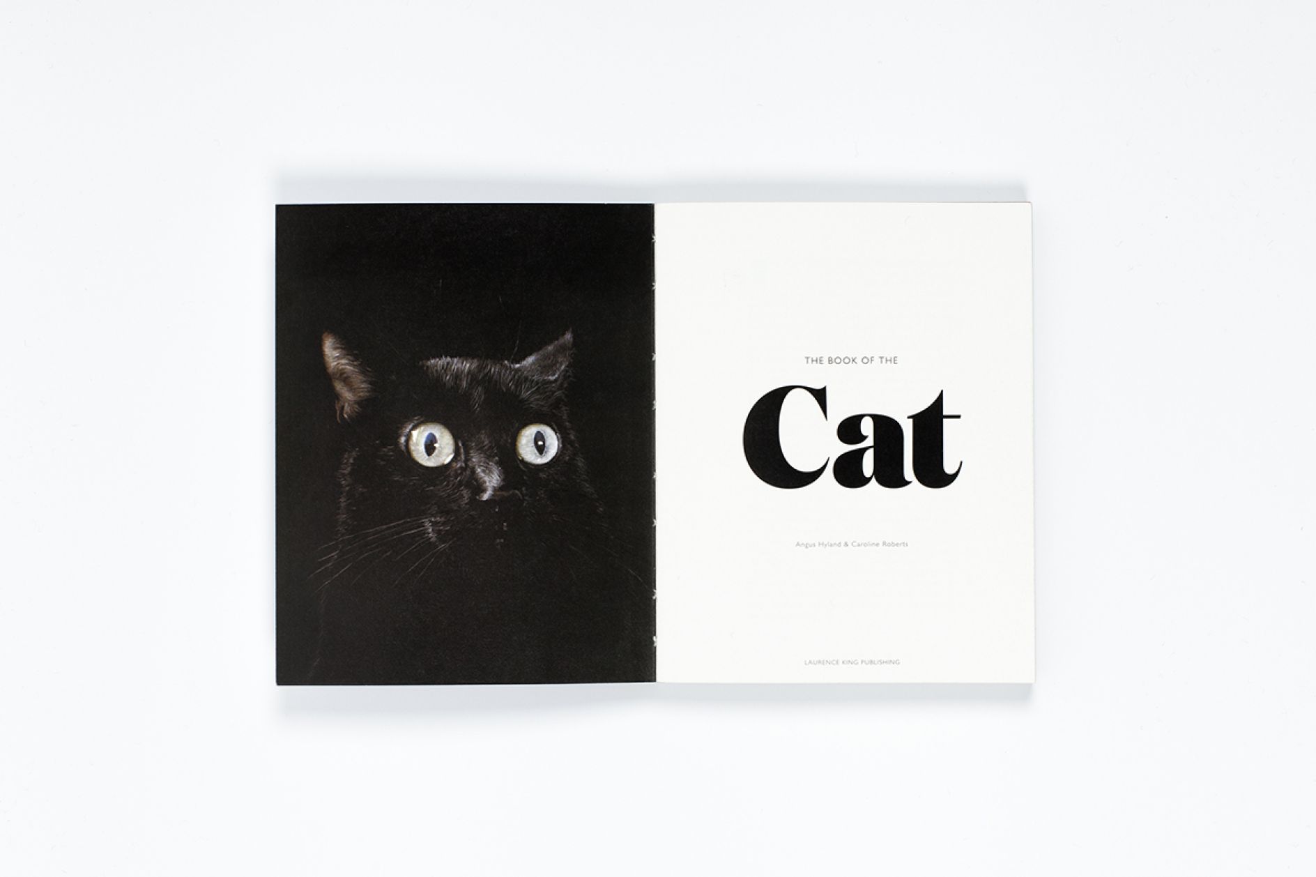 The Book of the Cat features feline art and illustration by artists ...