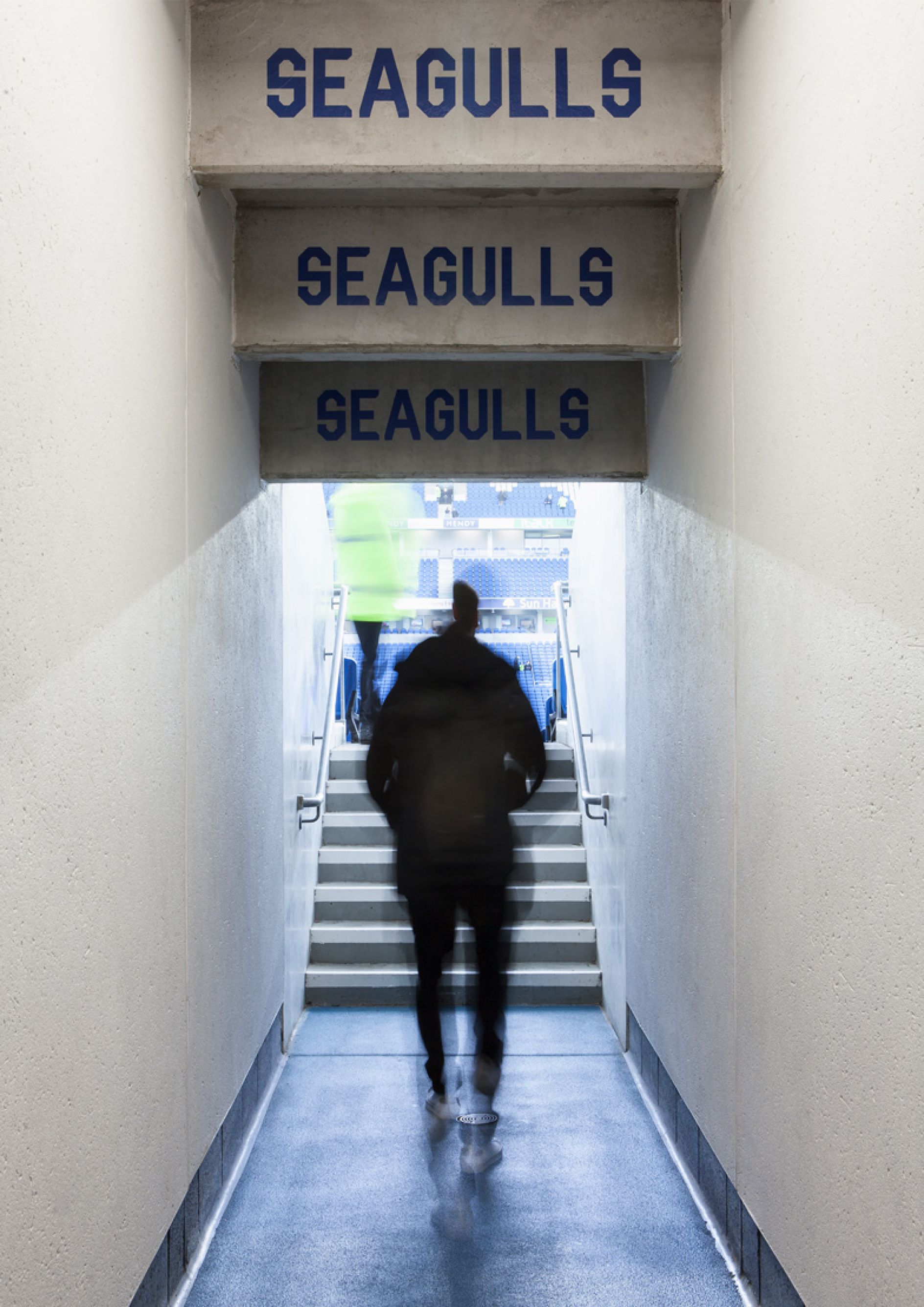 Good news for seagulls fans (the football club, not the bird ...