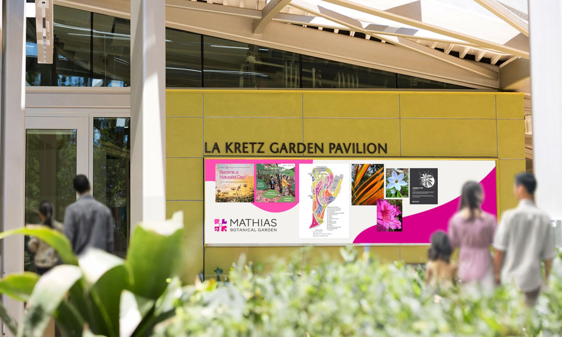Native California flower informs UCLA Mathias Botanical Garden identity ...