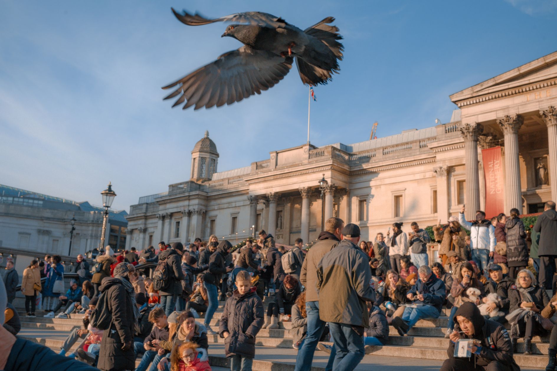 Primary-coloured photographs of 'quirky' London by Josh Edgoose ...