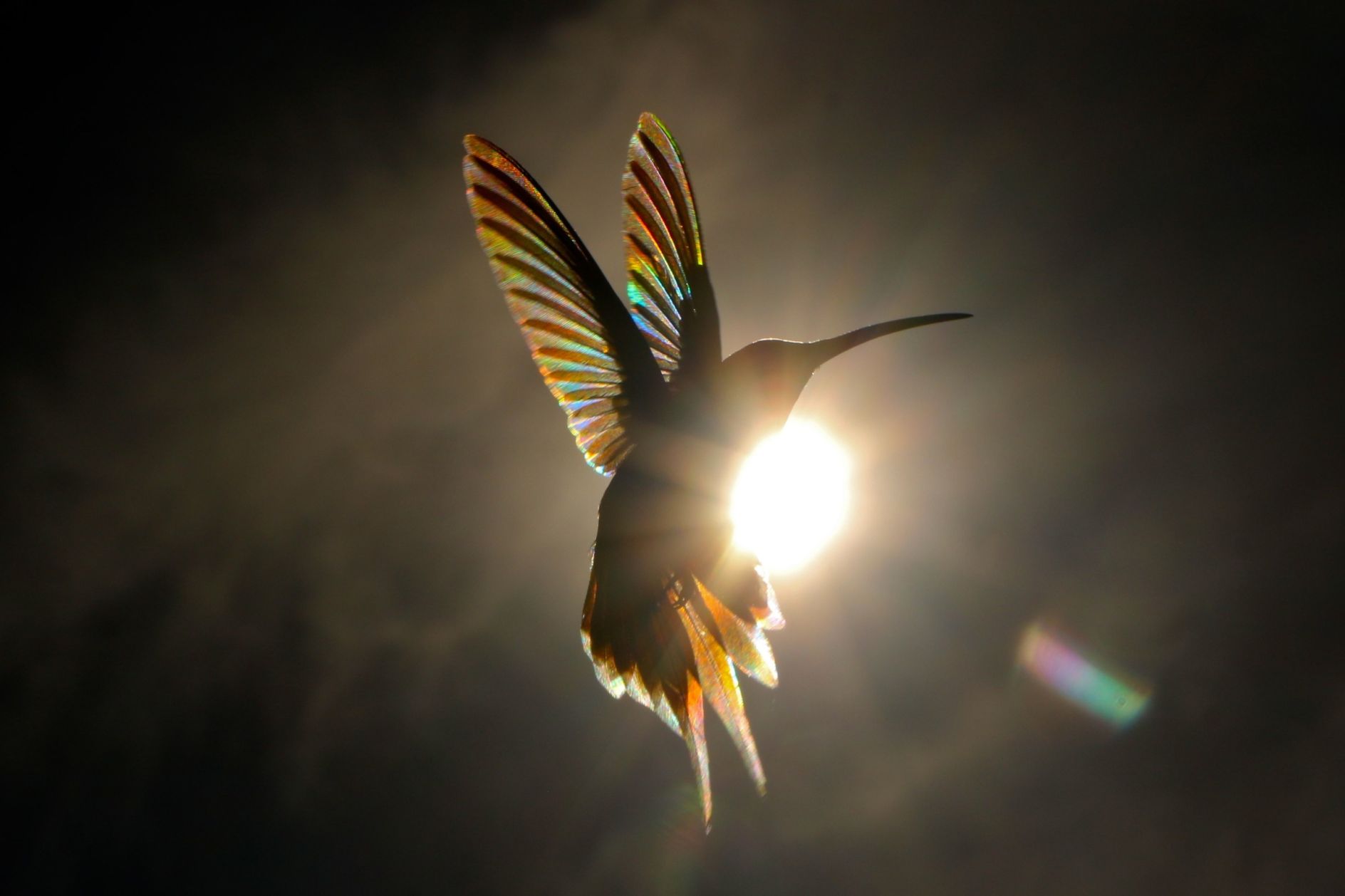 Photographs that capture the rainbow prism-effect of sunlight passing ...