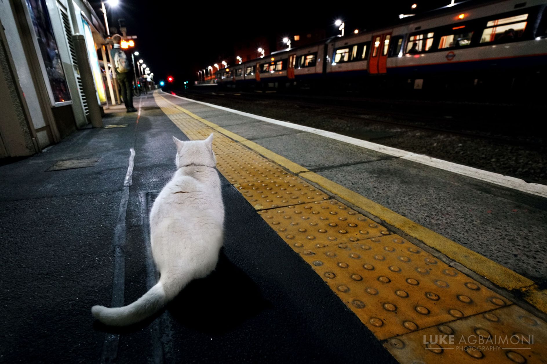 The Tube Mapper: Photographer Luke Agbaimoni's mission to document ...
