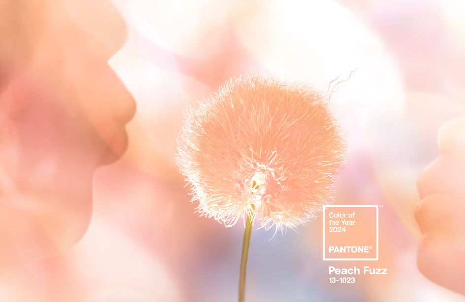 Peach Fuzz is Pantone's Colour of The Year for 2024, reflecting a need ...