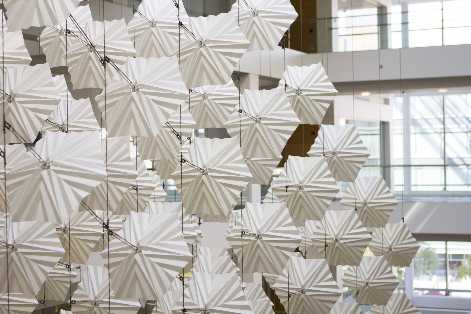 Mesmerising kinetic sculpture that mimics the movement of a flock of ...