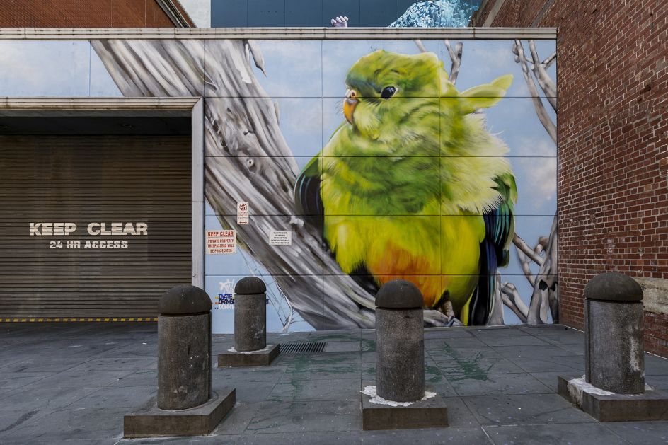 Australian artists unite to create Melbourne's first official street ...