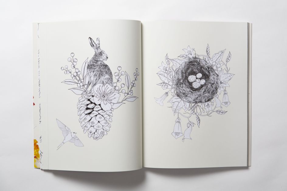 Birdtopia: A beautifully illustrated colouring book by the talented ...