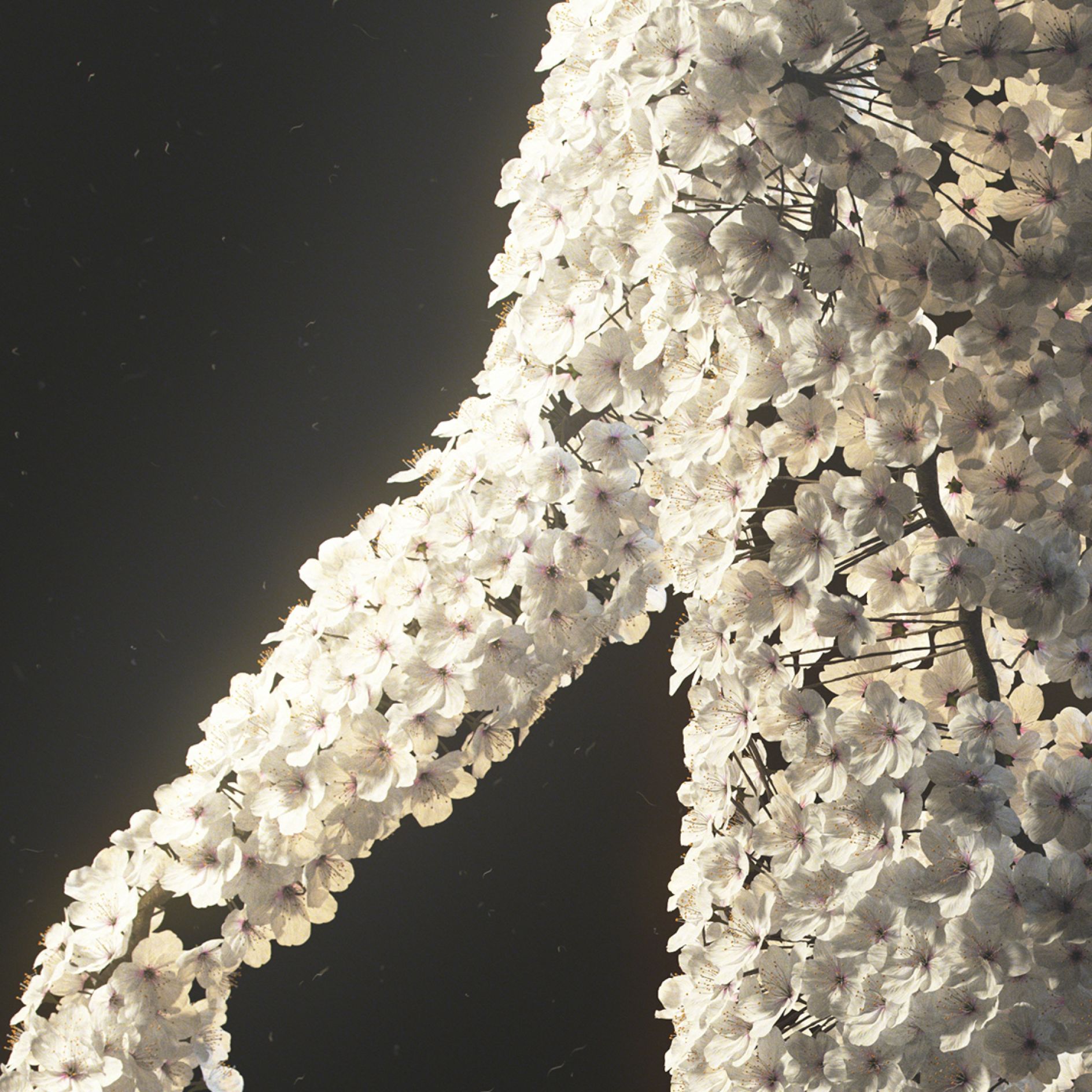 Flower Figures: Artist digitally crafts sculptures of women from a ...