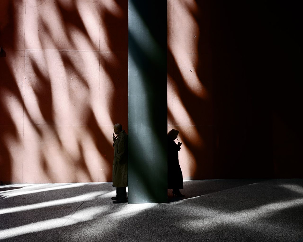 City Space explores the stark light and shadow of the urban environment ...