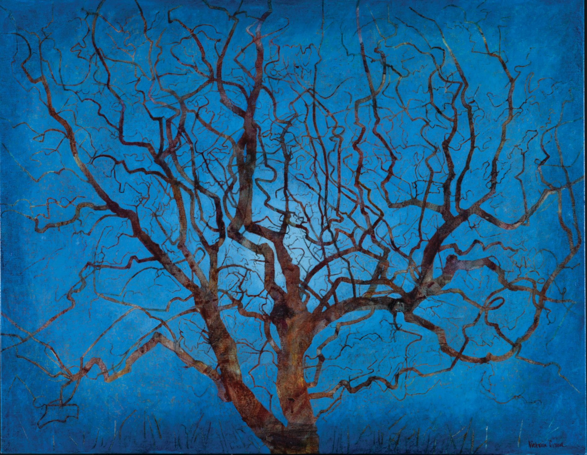 First major retrospective charts five decades of work by acclaimed ...