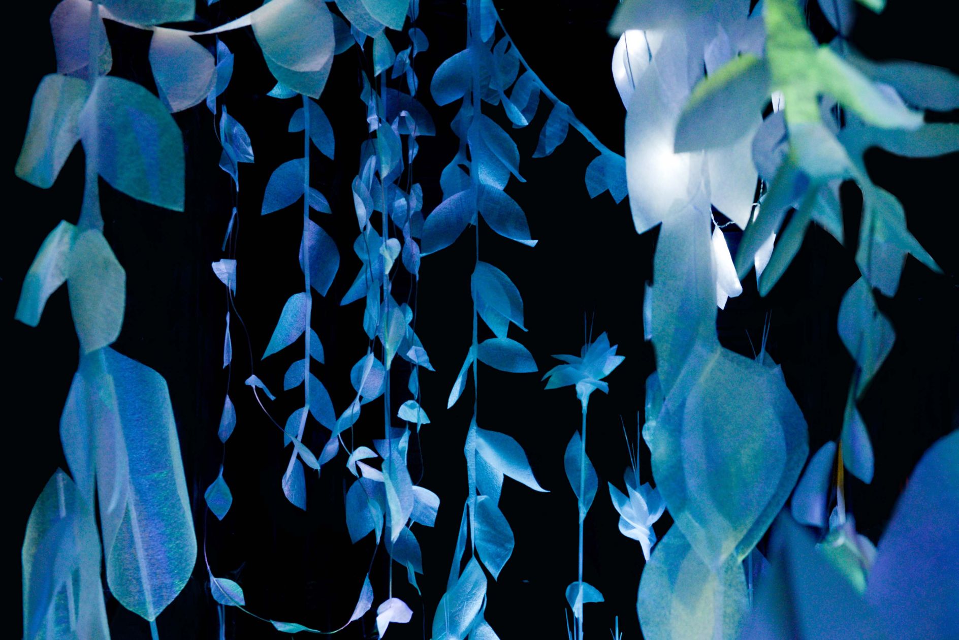 A luminous, dystopian dark forest made entirely from a week of non ...