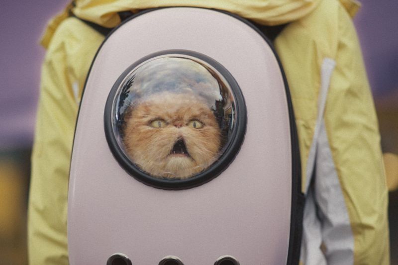 BBH's debut campaign for Ribena helps us laugh through life's 'little ...