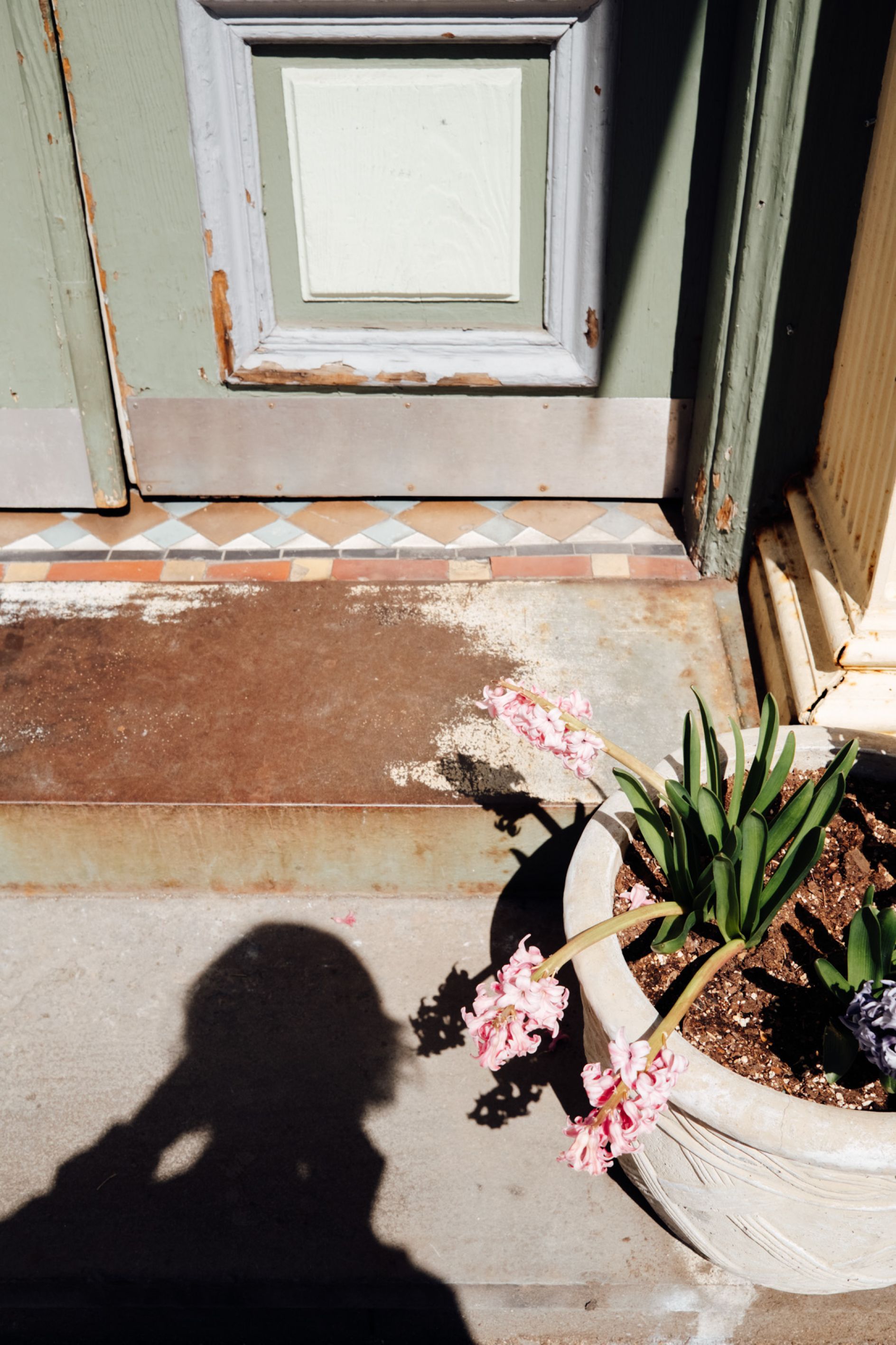 Hiding in Hudson: Photographs of the 2024 solar eclipse in New York ...