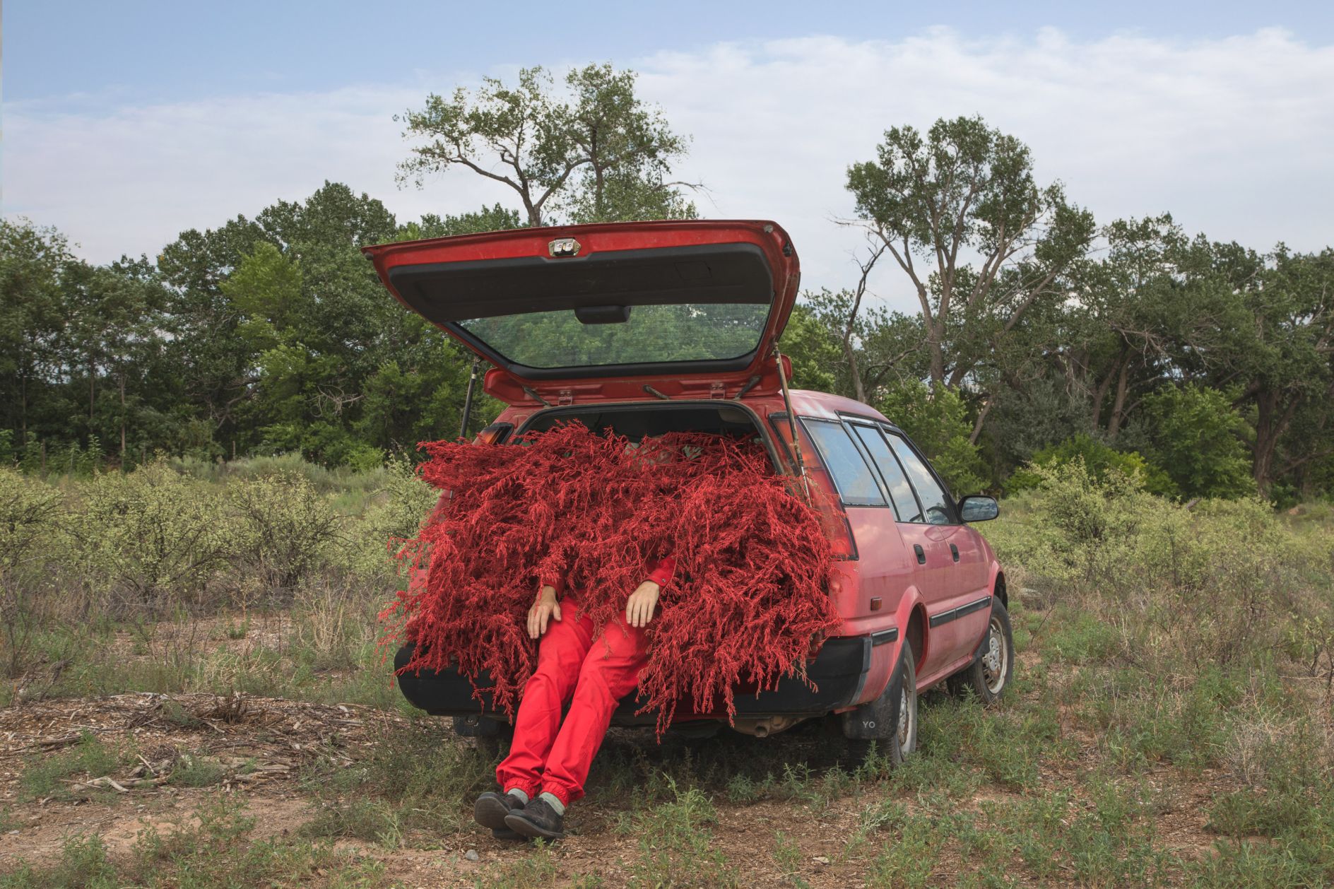 Ben Zank questions social norms through hyper-staged performance art ...