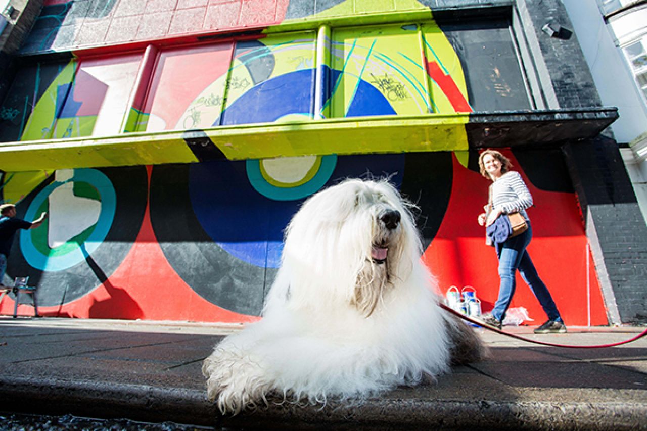 Leading illustrators collaborate with Dulux to Colour Britain ...