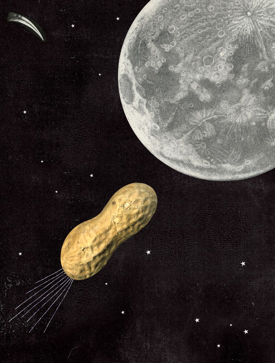 Quirky illustrated book highlights pre-performance rituals and lucky ...