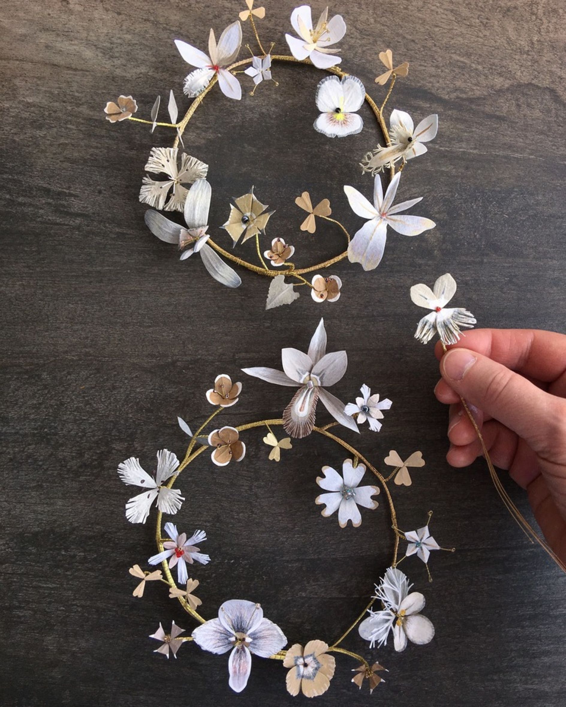 Botanical Sculptures: Delicate flowers and leaves made out of paper by ...