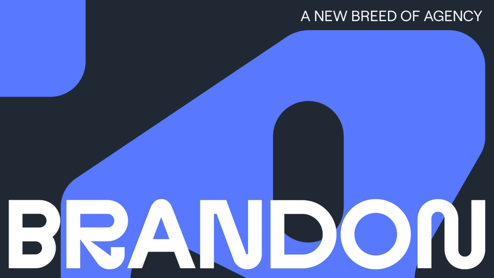 Brandon drops the agency speak with new identity | Creative Boom