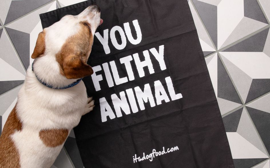 Robot Food puts the barking pet food category straight with itsdogfood ...