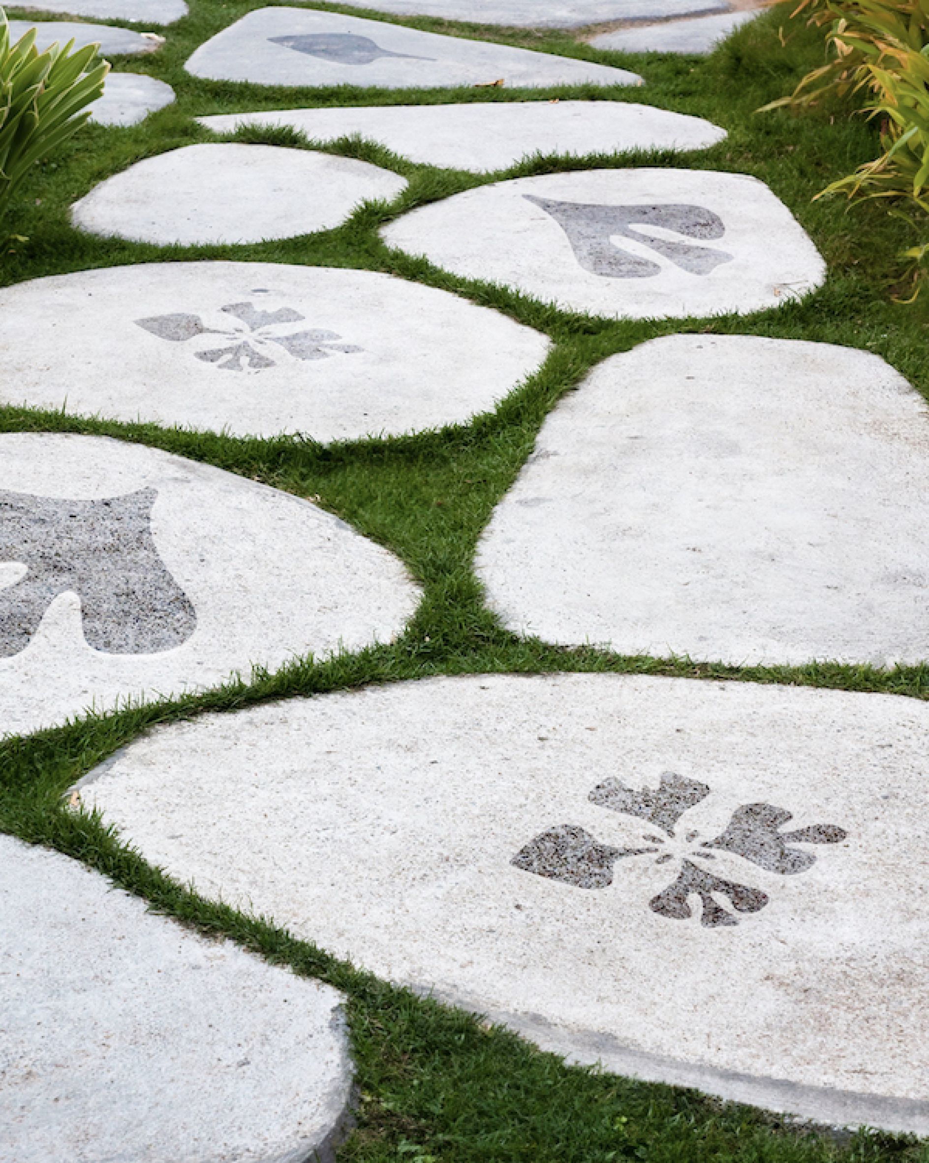 Native California flower informs UCLA Mathias Botanical Garden identity ...