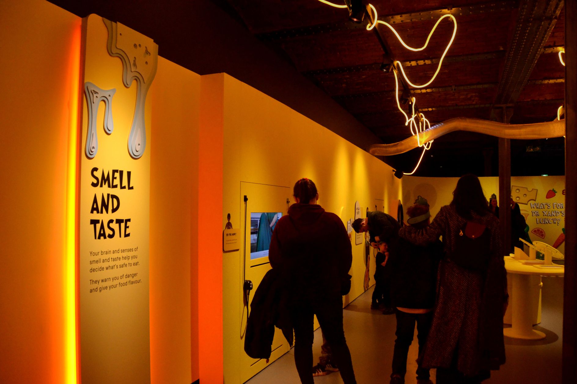 Drinkall Dean leads the design of Operation Ouch! exhibition at the ...