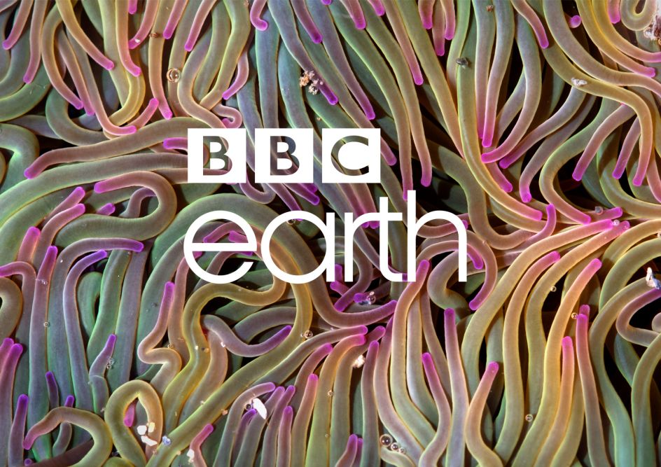 Talbot Type: Adrian Talbot's online foundry of typefaces and type ...