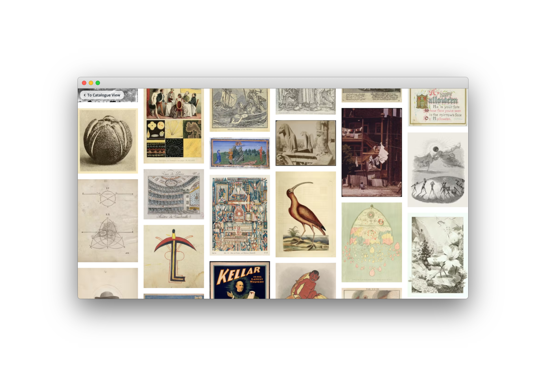 The Public Domain Image Archive: A treasure trove of free-to-use ...