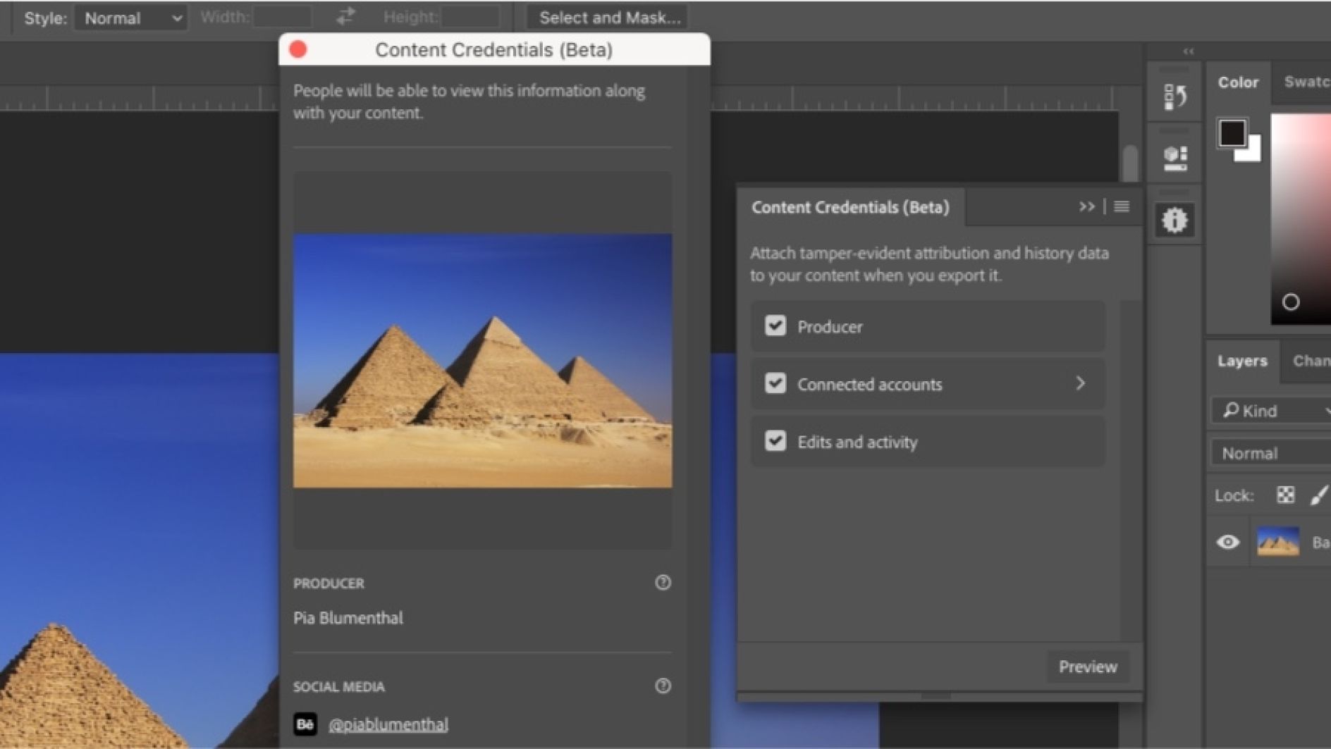 Why Adobe software is changing, and what it means for the future of ...