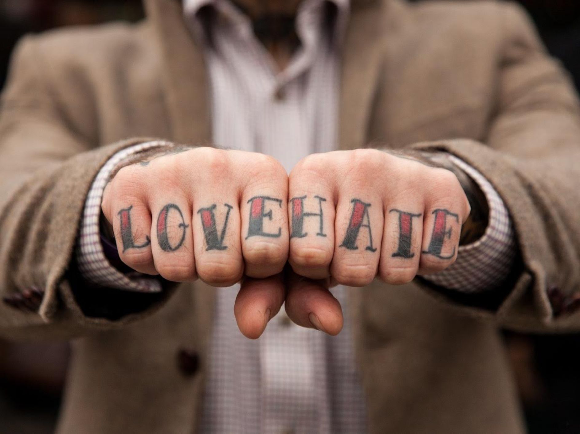 Knuckles: Photographer documents the fascinating world of knuckle ...