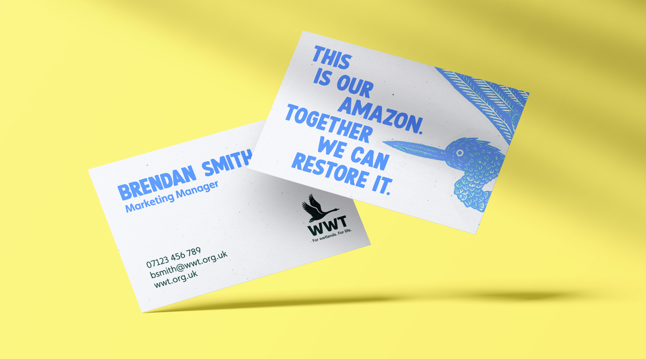 WWT launch new vibrant brand and purpose on World Wetlands Day ...