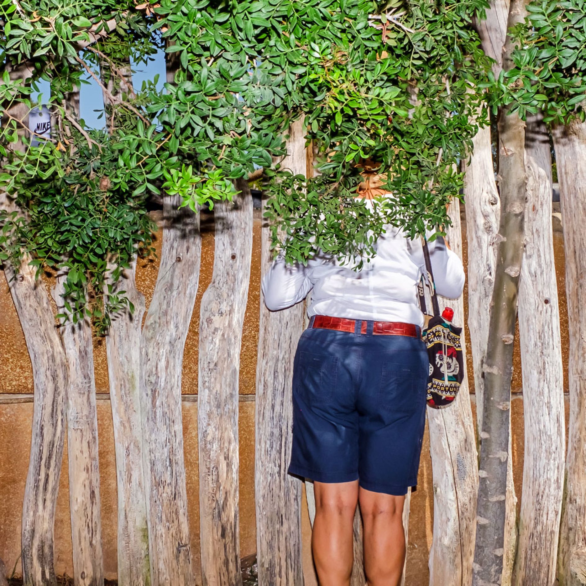 Bored Tourists: a colourful, ironic look at tourists on holiday ...