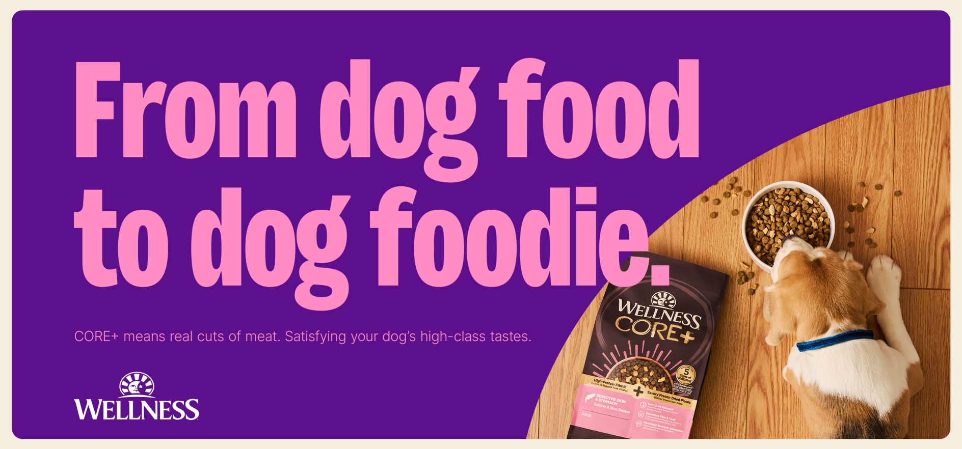 Colossus and Wellness Pet Company launch joyful new brand identity and ...