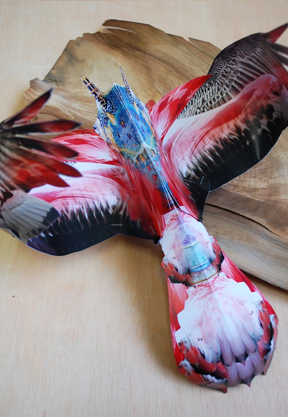 Flamboyant Flock of Flurry at Somerset House | Creative Boom