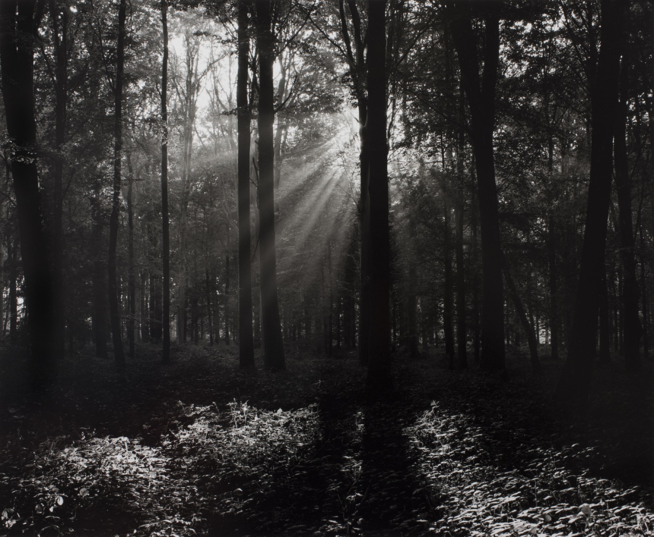 Echoes of the Great War: Haunting contemporary photography by Peter ...