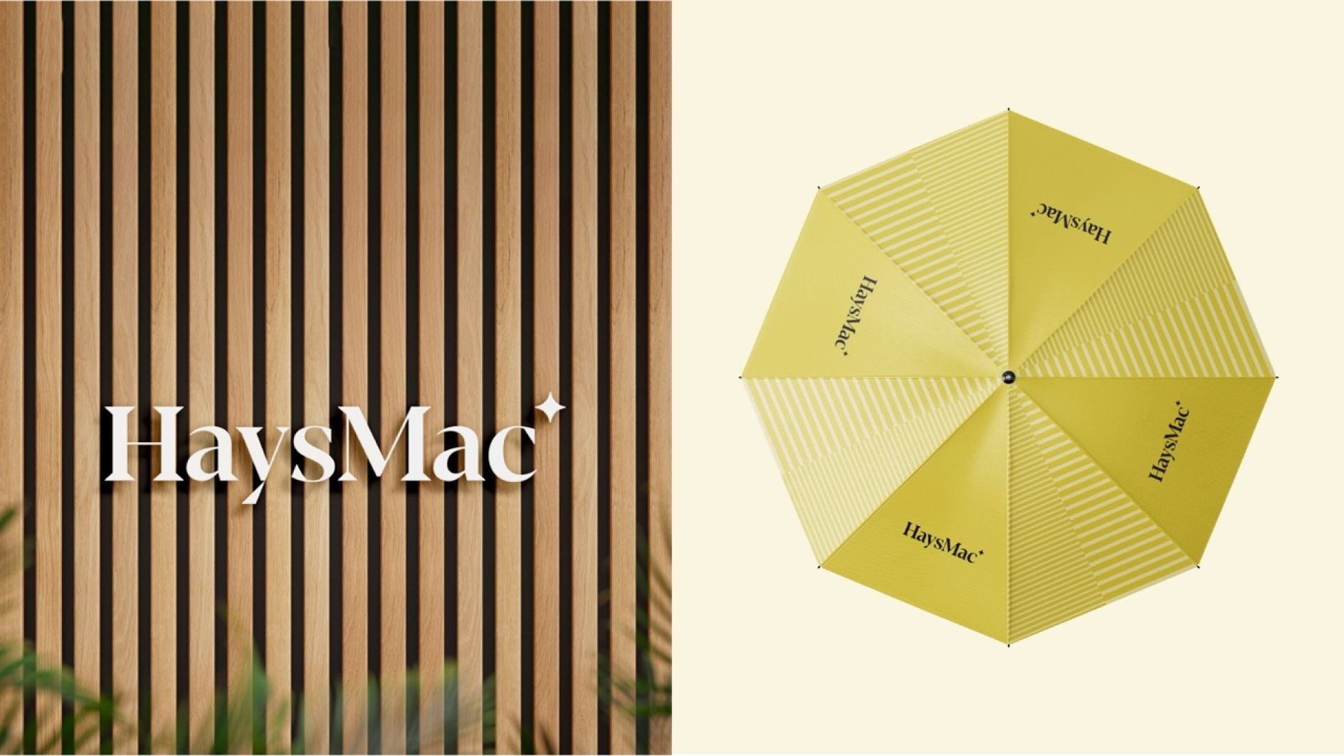 HaysMac brings warmth and personality to chartered accountancy | Creative Boom