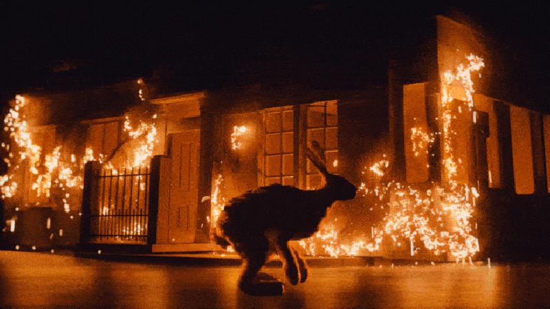 Stop motion and real fire unexpectedly mix to highlight what is 'A ...