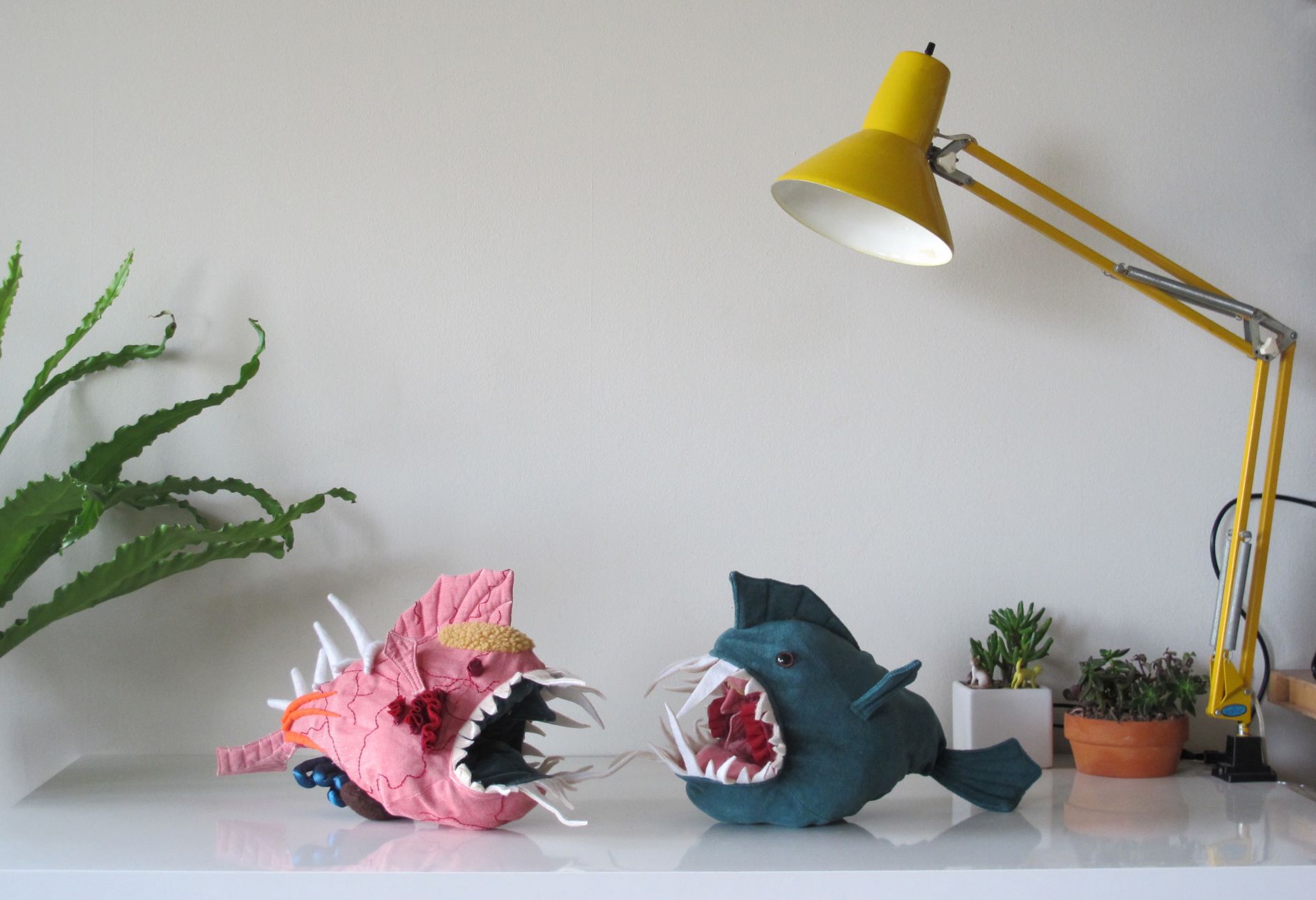 Meet Morris, the fish that encourages you to turn him inside out and ...
