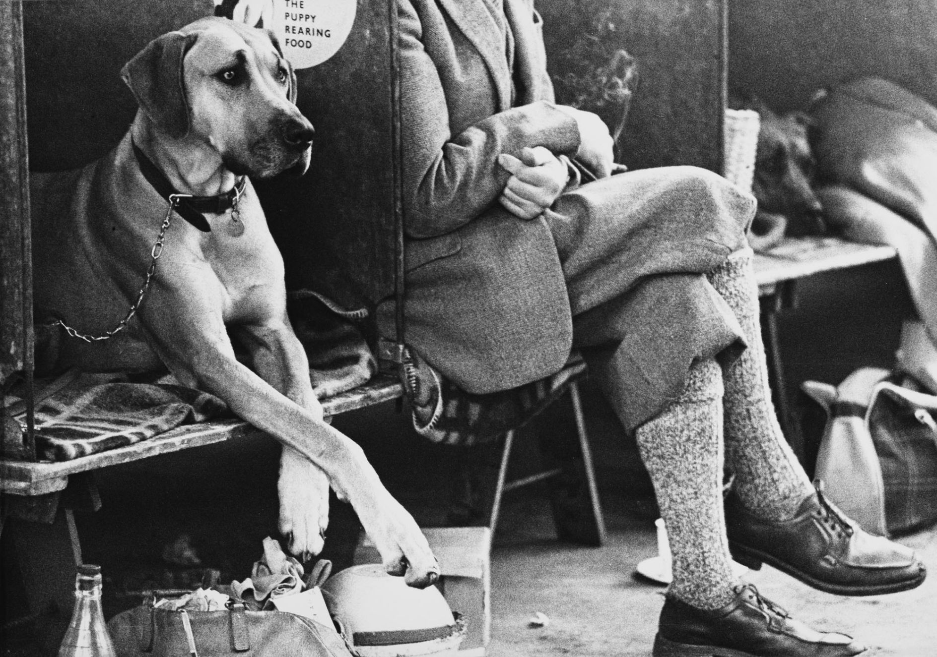 Photography of Manchester and Salford in the 1960s by pioneering ...