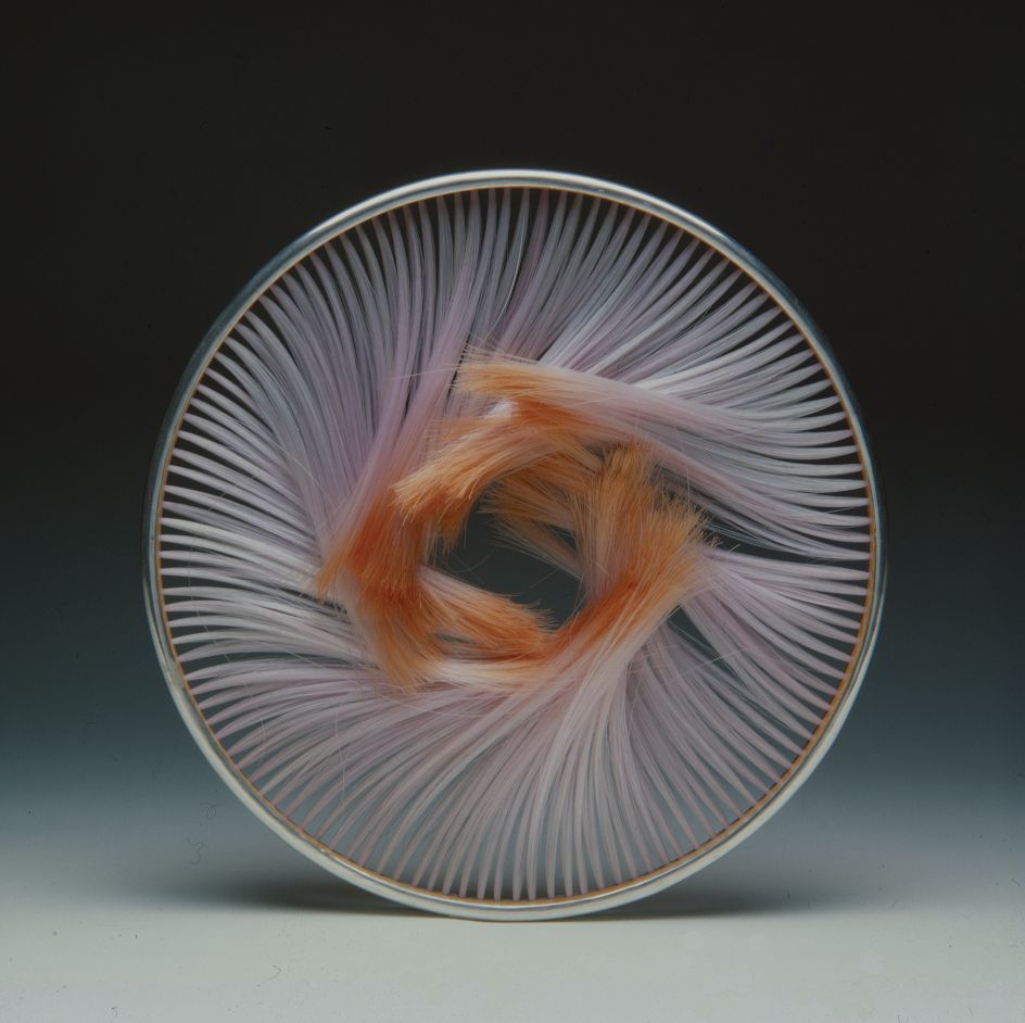 Caroline Broadhead on 10 years at Central Saint Martins and her love of ...