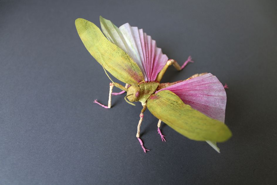 Life-like paper insects painstakingly made from fine crepe paper ...
